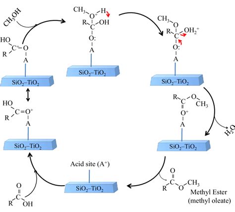 Structure Of Sulfated Sio 2 Tio 2 And Esterification Reaction