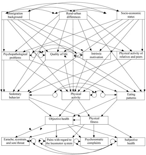 Biopsychosocial Model The Biopsychosocial Model Considered