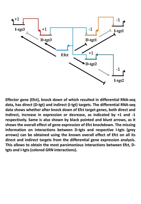 Figure Supplement Schematic Representation Of Sign Assignment Logic Download Scientific