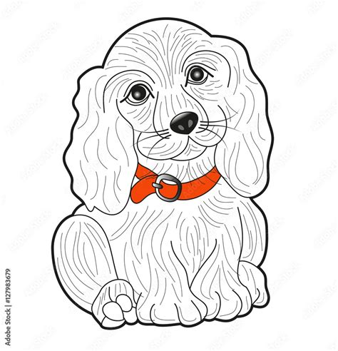 Vektorová Grafika „vector Illustration Of A Beautiful Cocker Dog For