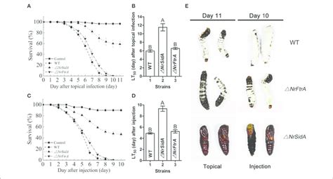 Insect Bioassays A Survival Of S Litura Larvae Following Topical