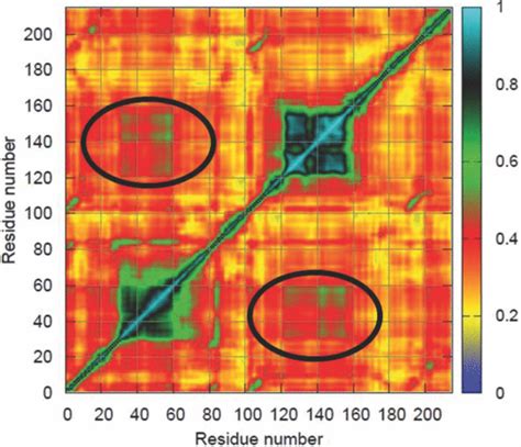 Dynamic Correlation Map Derived From Cα Fluctuation In Adenylate Download Scientific Diagram