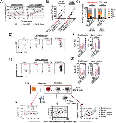 Spatiotemporal Single Cell Profiling Reveals That Invasive And Tissue Resident Memory Donor Cd8