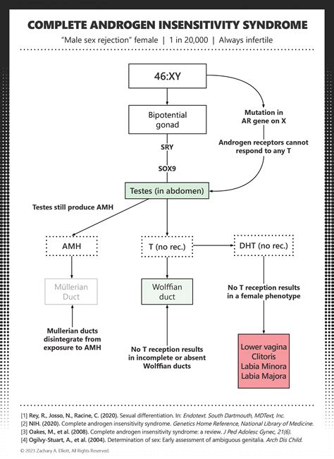 The Case Of Cais Understanding The Complexity Of Sex Reversal