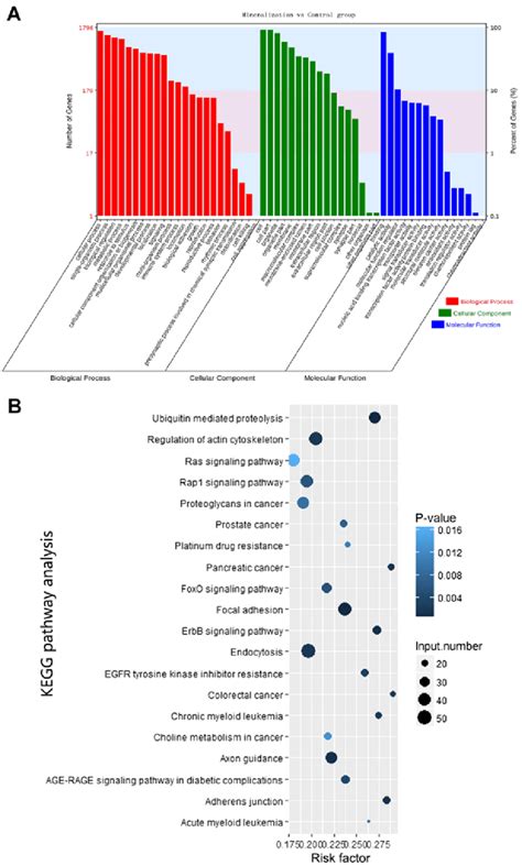 Bioinformatics Analysis A Gene Ontology Analysis B Pathway Download Scientific Diagram
