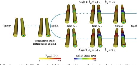 Figure 10 From A Computational Framework For Fluid Solid Growth Modeling In Cardiovascular
