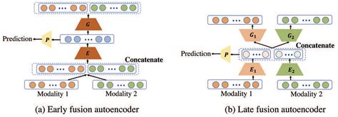 Disentangled Multimodal Adversarial Autoencoder Application To Infant Age Prediction With
