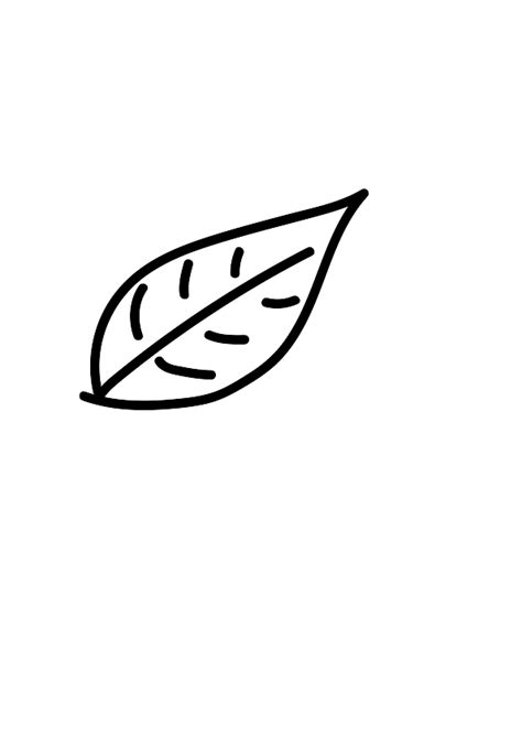 Download Lisc Svg Freepngimg