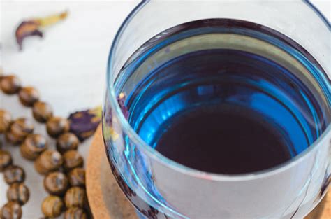 나비 완두콩 꽃 차 카페인 무료 허브 차 이며 다양 한 Clitoria Ternatea 식물의의 약 속성을 유지 합니다 이 이국적인 푸른 완두콩 차 라고도 Cordofan