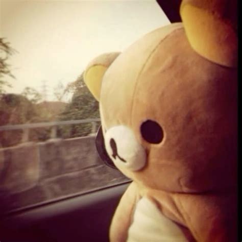 Rilakkuma Pfps