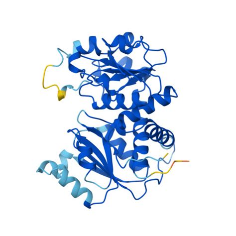 Rcsb Pdb Af Afb5eb49f1 Computed Structure Model Of Aspartate Carbamoyltransferase