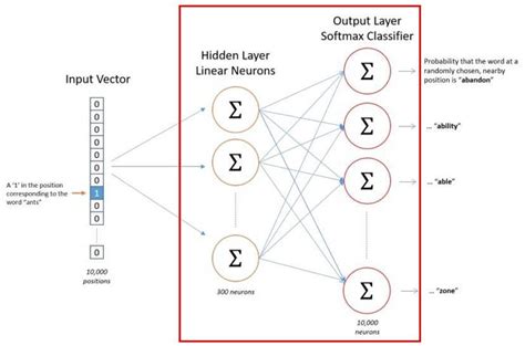 节点嵌入算法—node2vec原理与优化 知乎