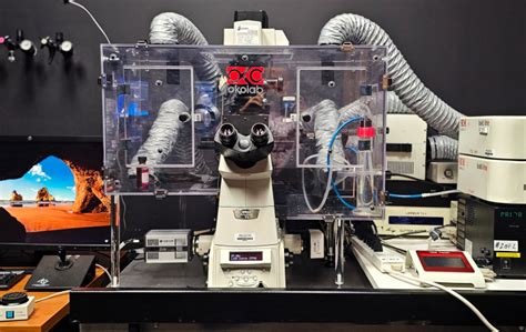 Nikon Widefield Epi Scope Quantitative Light Microscopy Core Facility Ut Southwestern Dallas