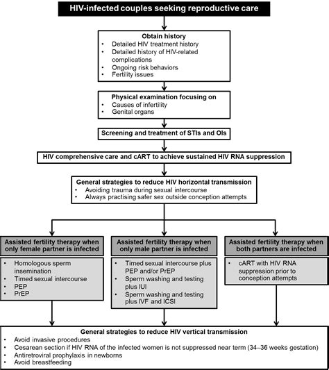 HIV Infection And Infertility IntechOpen