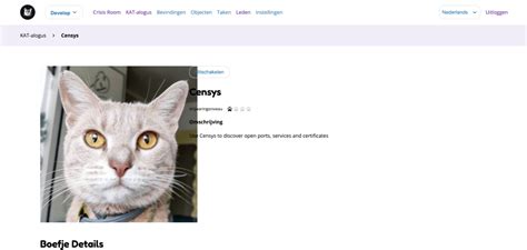 Boefje Detail Page Alignment · Issue 875 · Minvwsnl Kat Coordination
