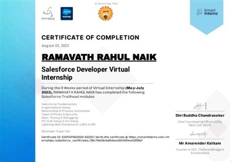 Rahul Naik On Linkedin Salesforcedeveloper Internship