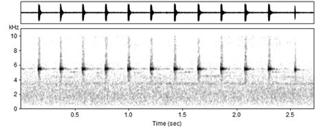 Wave Form Above And Spectrogram Below Of An Advertisement Call From