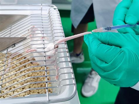 生物学评价检测 威科检测集团有限公司