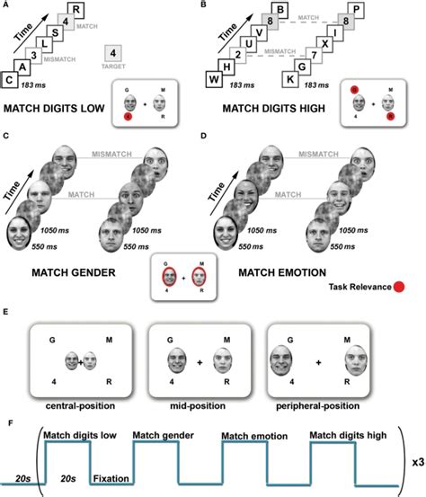 Tasks And Experimental Design The Visual Display Consisted Of Four Download Scientific Diagram