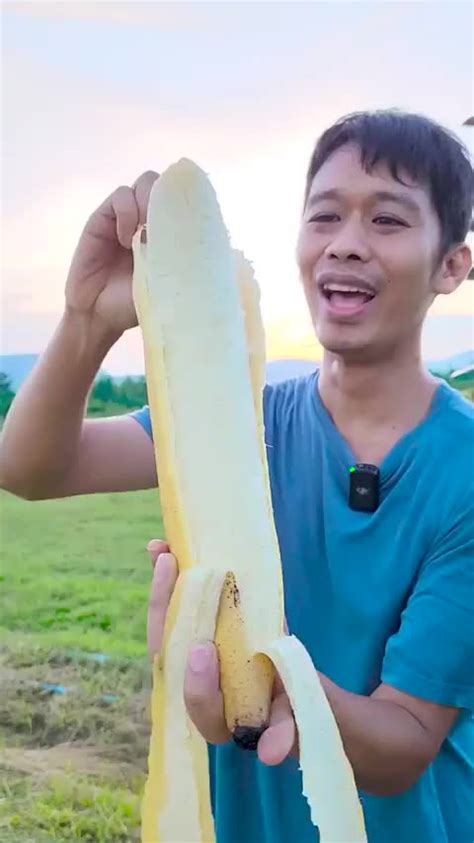 Massive Banana Album On Imgur