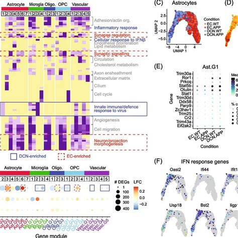 multiple cell types in the dcn contribute to a cytokine enriched download scientific diagram