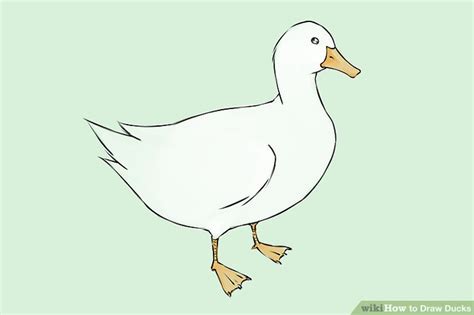 How To Draw Ducks With Pictures WikiHow