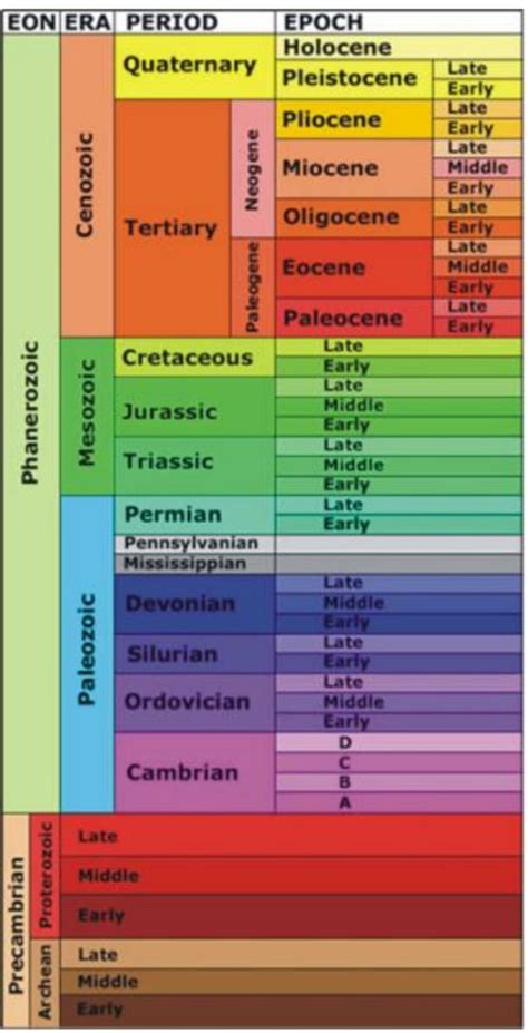 Geologic Time Scale Study Guide CK Foundation