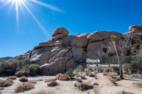 맑은 하늘과 바위가 많은 배경이있는 조슈아 트리 국립 공원의 풍경 0명에 대한 스톡 사진 및 기타 이미지 0명 건조한 관광 Istock