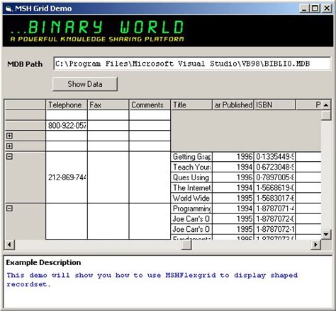 Binaryworld How To Display Shaped Recordset With Microsoft Hierarchical Flexgrid Vb