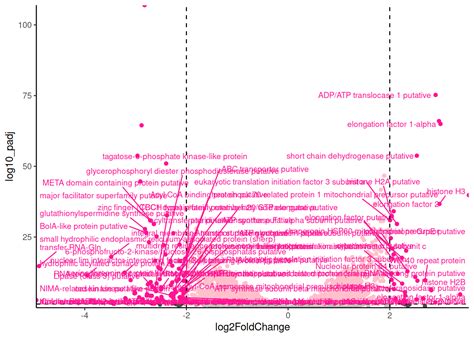 Workshop Data Analysis For Group Project