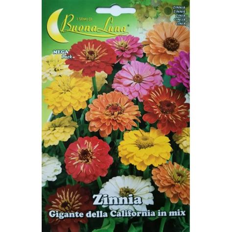 Семена - Циния Гигант