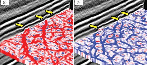 Seismic Attribute Expression Of Differential Compaction Apr 2012