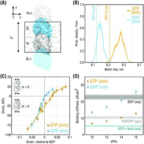Elastic Properties Of Isolated Infinite Pfs A Simulation Setup