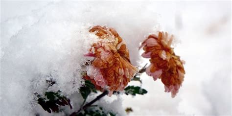 Insider 2018 12 319 Release Optimizing Splunk Python Source