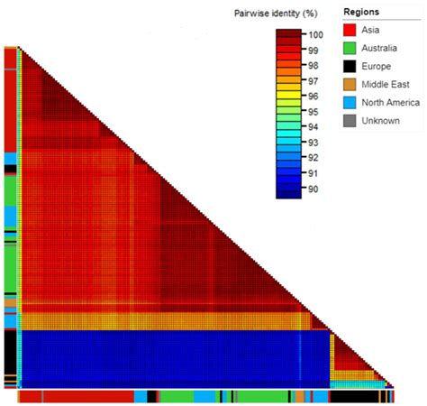 sequence demarcation tool matrix showing percent pairwise nucleotide