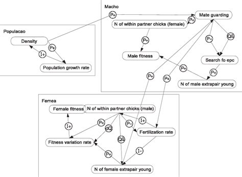 causal model obtained on state 10 of the simulation download
