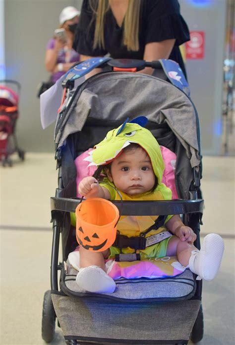 Un Bébé Dans Une Poussette Photo Photo Promeneur Gratuite Sur Unsplash