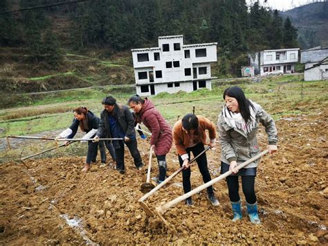 镇雄人 镇雄 镇雄市 大山谷图库
