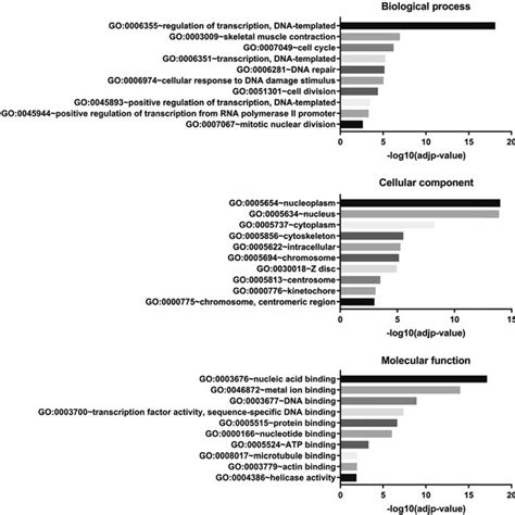 Transcriptome Profiling Reveals Changes In Gene Expression Programs Download Scientific Diagram