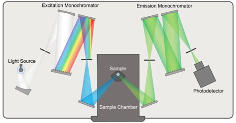 What Is A Fluorescence Spectrometer