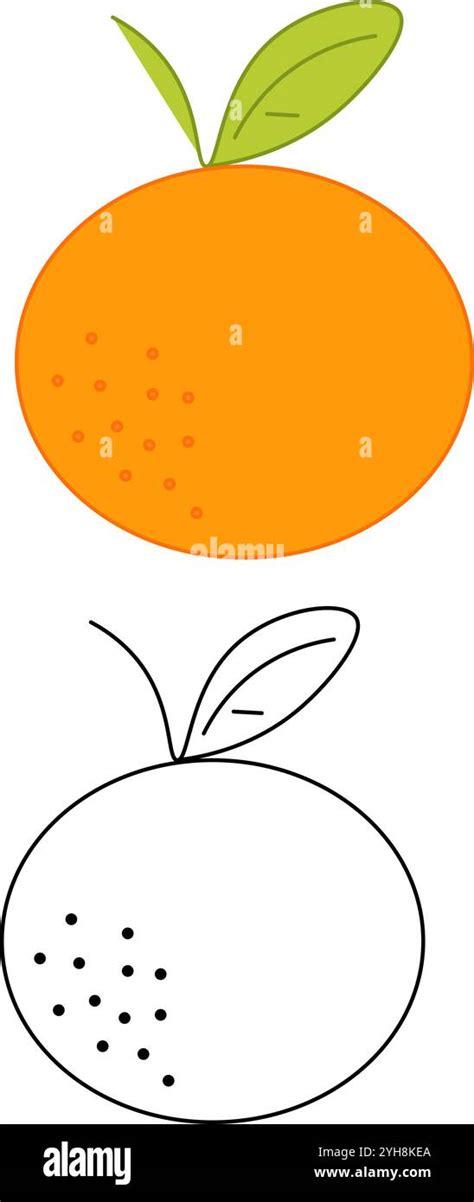 Mandarin Logo Isolated Vector Cartoon Mandarin On White Background Stock Vector Image And Art Alamy