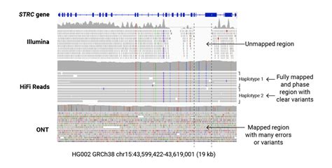 Sequencing Understanding Accuracy In DNA Sequencing PacBio