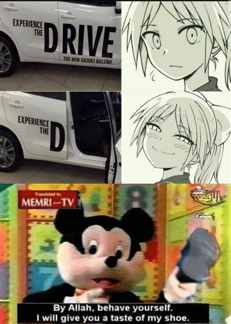 Farfour The Mouse Image Gallery Know Your Meme