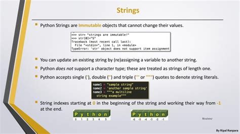 python final ppt pdf