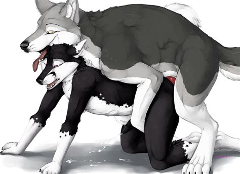 Rule 34 Anal Anal Sex Anthro Anus Canine Cum Doggy Style Fox From