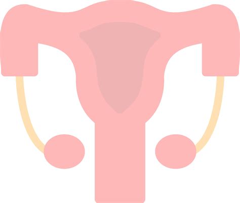 Reproductive System Vector Icon Design 16982948 Vector Art At Vecteezy