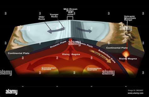 Convection Currents Datatable
