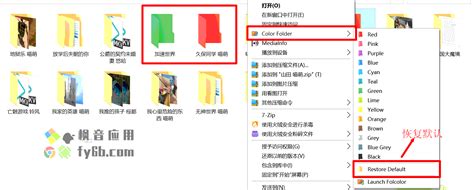 Windows Folcolor V