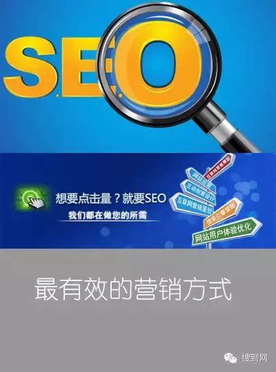 新手如何做seo（网站seo基础） 8848seo