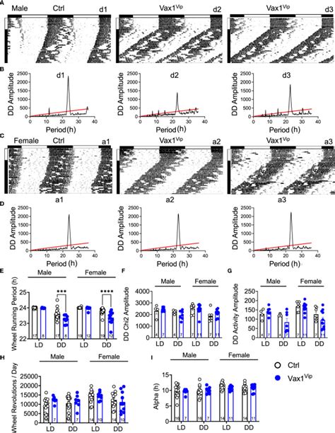 The Transcription Factor Vax1 In Vip Neurons Of The Suprachiasmatic Nucleus Impacts Circadian
